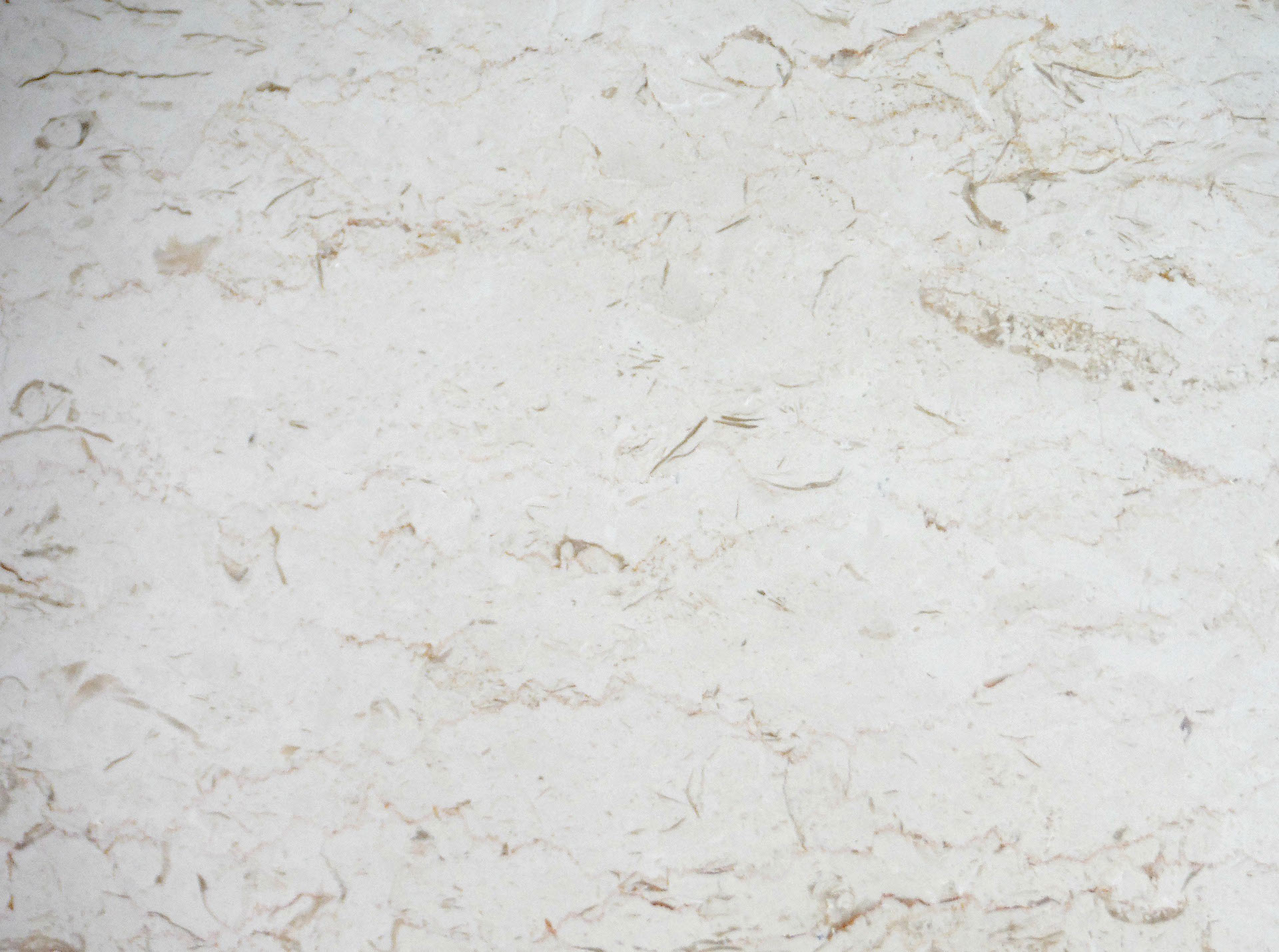 hebron-white limestone-detail – Ta'wy